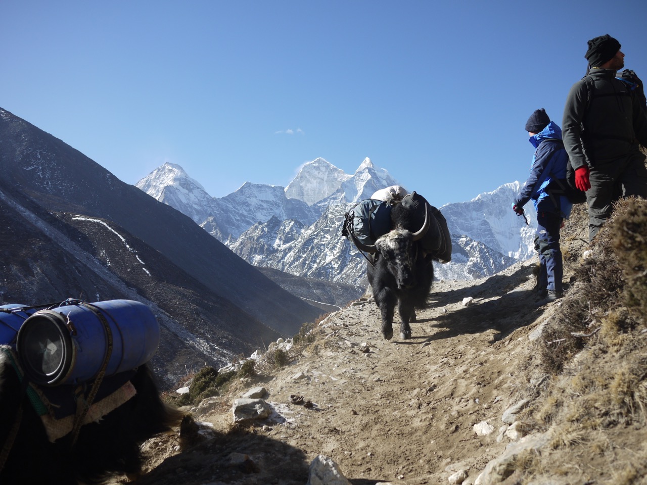 Just take the next step: Trekking to Base Camp - School Insight