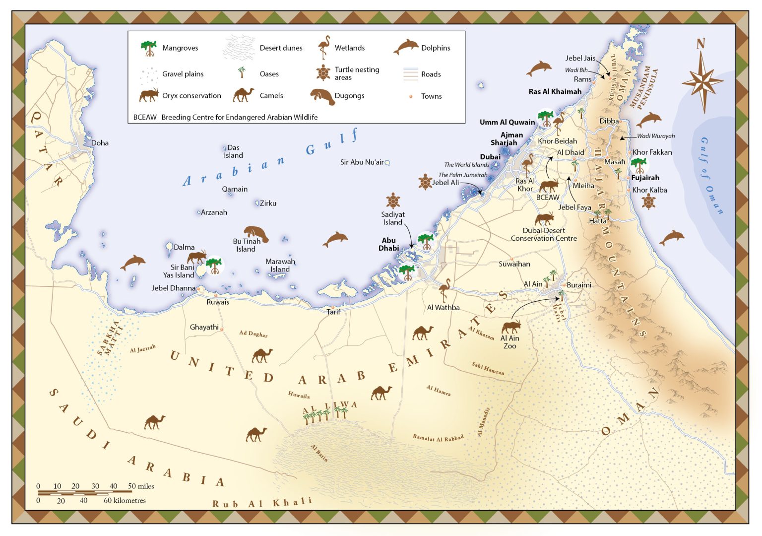 A Life in Maps - School Insight